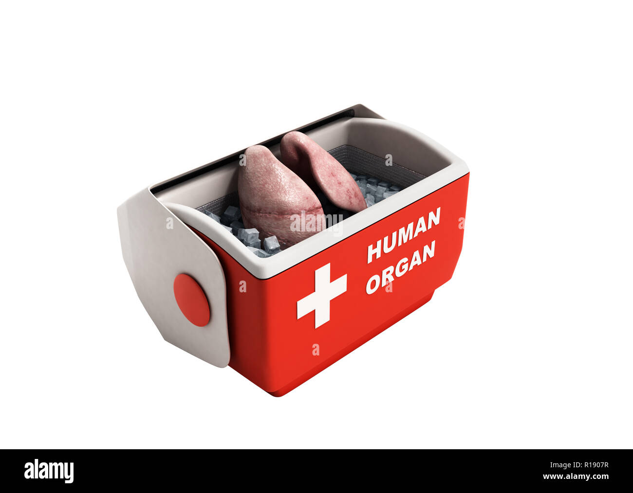 Organ Transport Box Stock Photos & Organ Transport Box Stock Images - Alamy