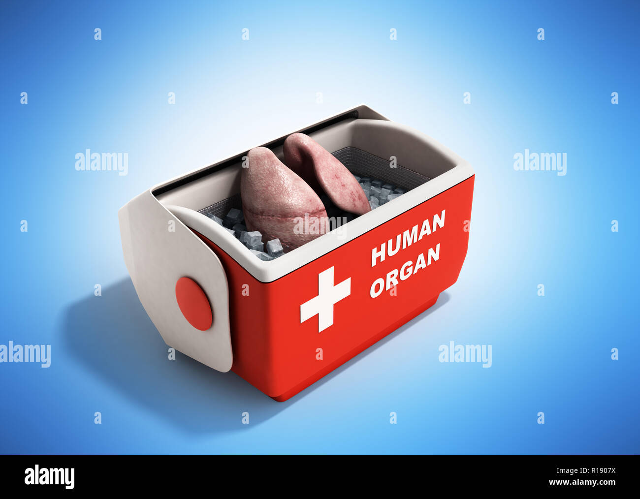Organ transport cooler box hi-res stock photography and images - Alamy