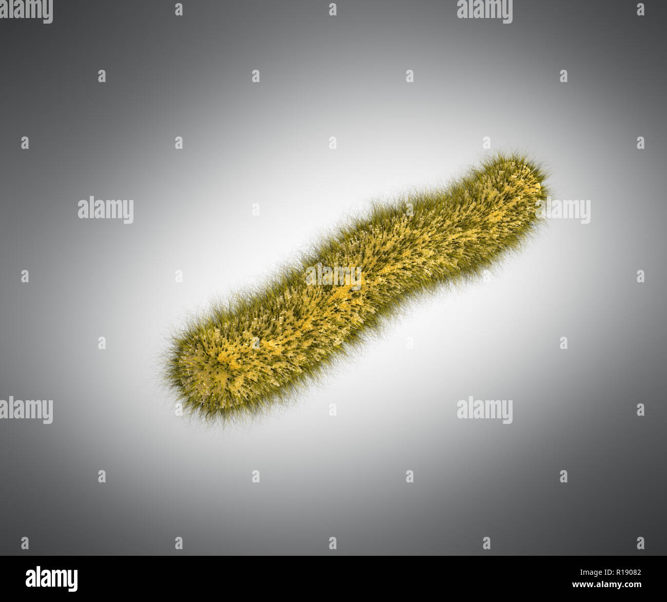 Detailed 3d medical illustration of virusesm bacteria on grey ...