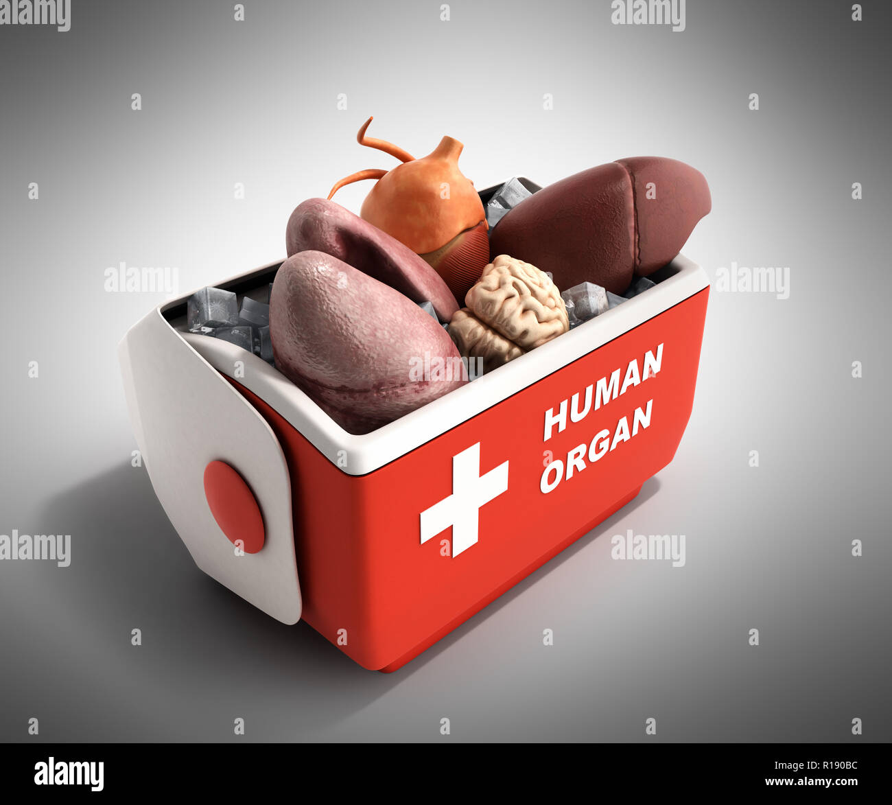 Organ transport cooler box hi-res stock photography and images - Alamy
