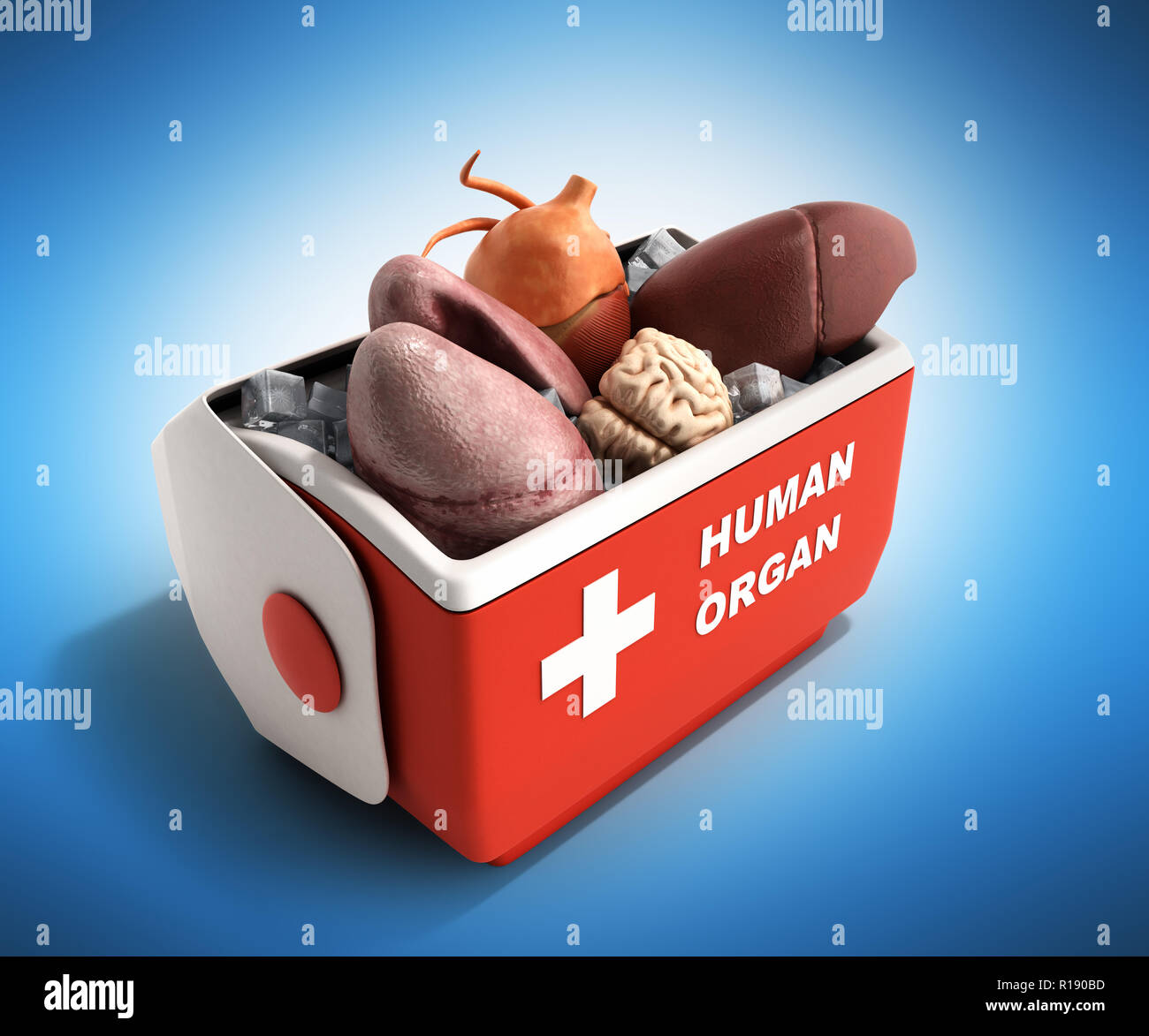 Organ transport cooler box hi-res stock photography and images - Alamy