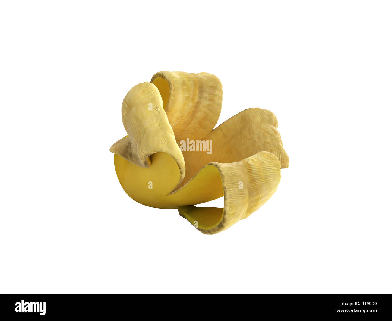 Half peeled Banana Open Banana 3d render on white background no shadow ...