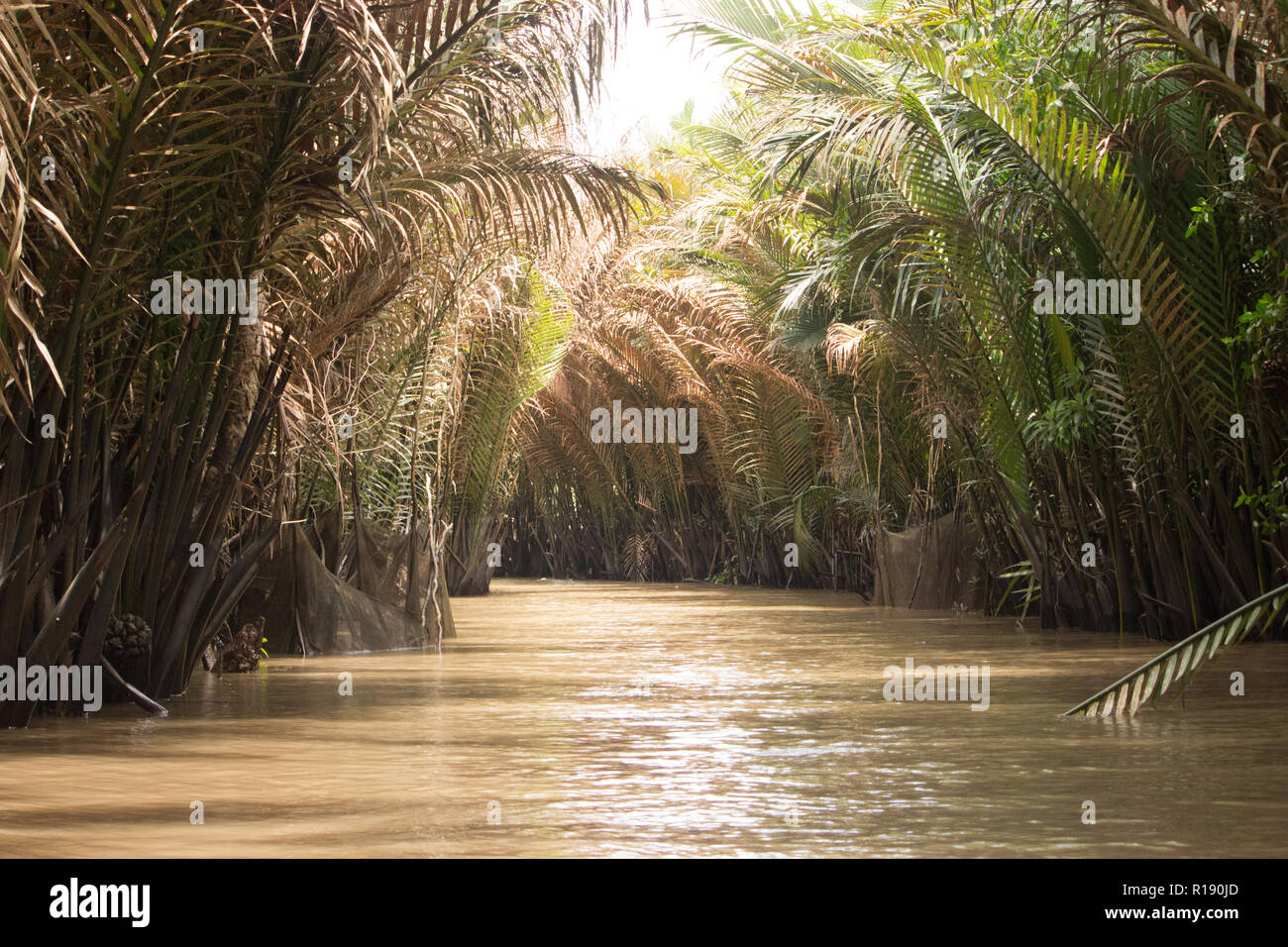 Mekong river channel hi-res stock photography and images - Alamy