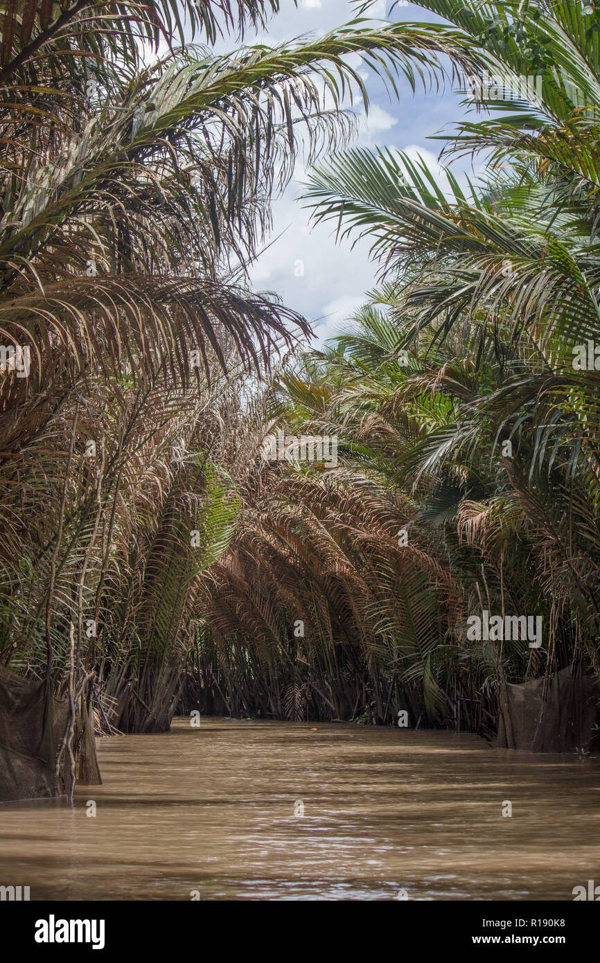 Mekong river channel hi-res stock photography and images - Alamy