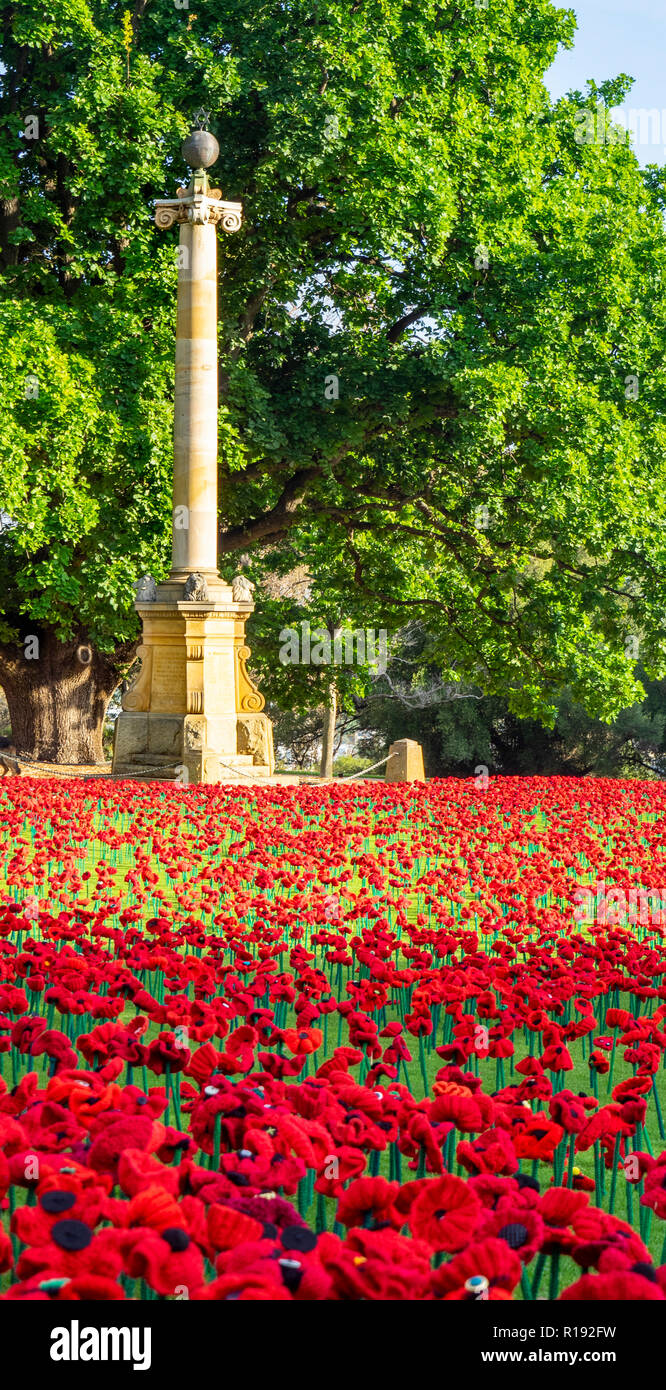 Armistice day display hi-res stock photography and images - Alamy