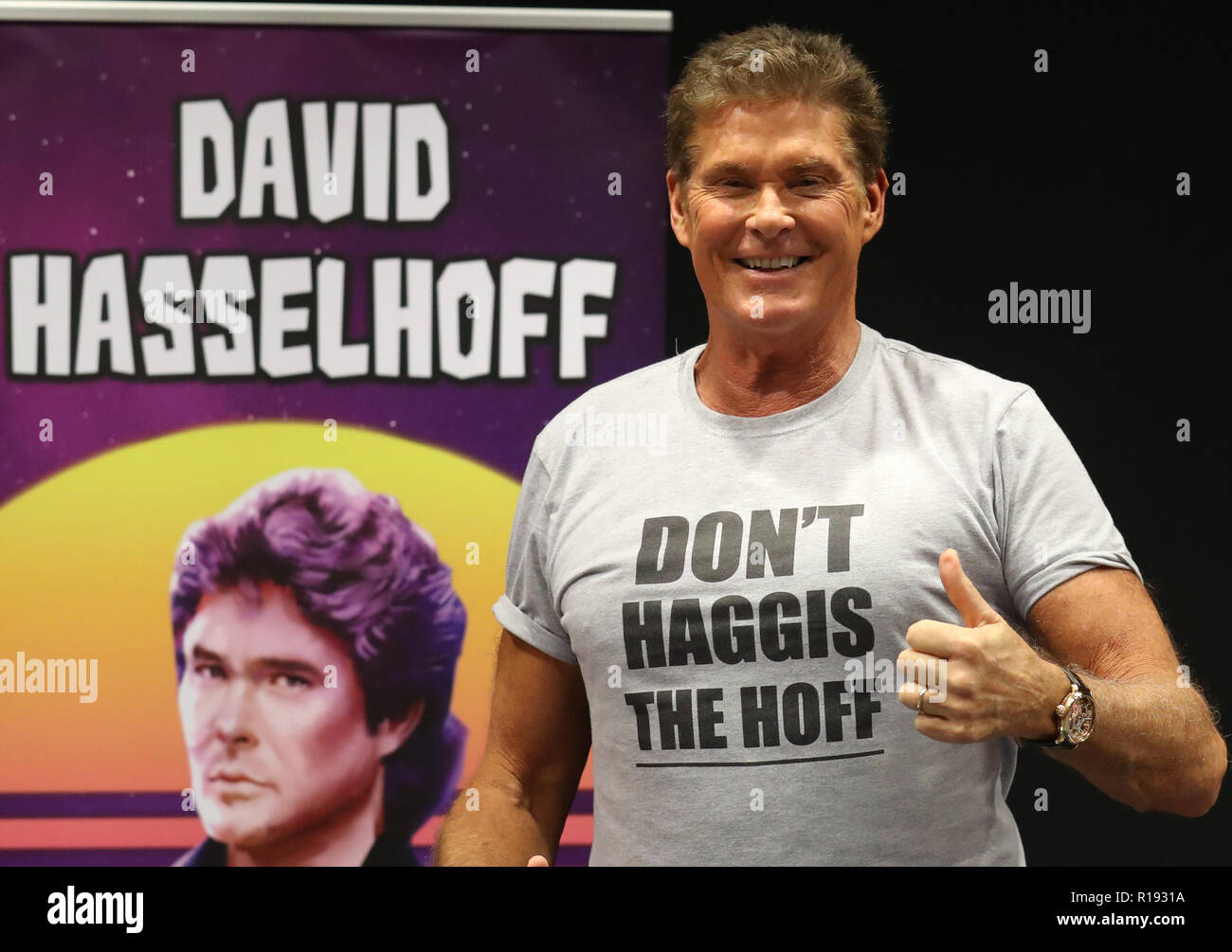 David hasselhoff comic con hi-res stock photography and images - Alamy
