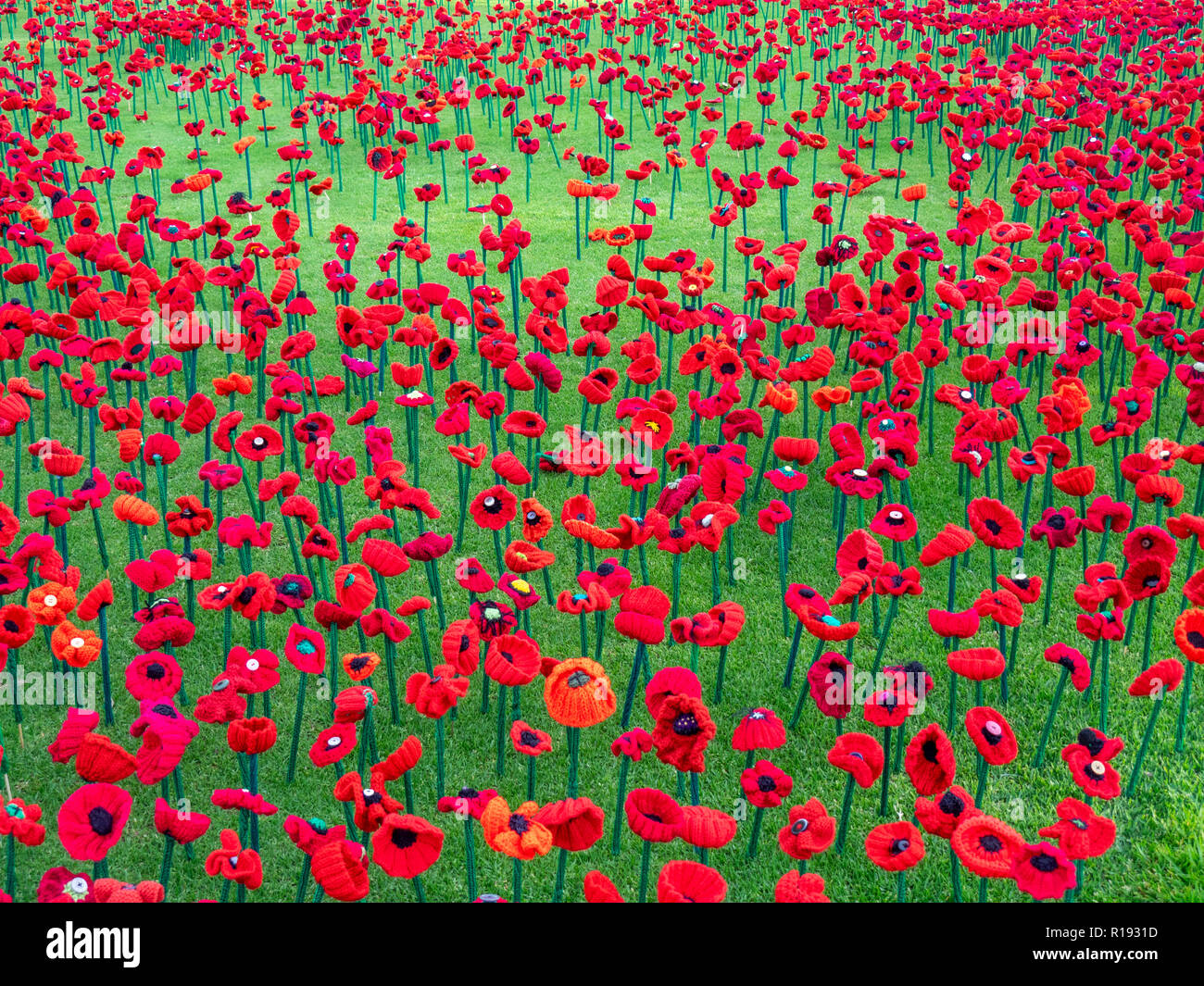 2018 Remembrance Day Poppy Project display of handcrafted poppies in ...