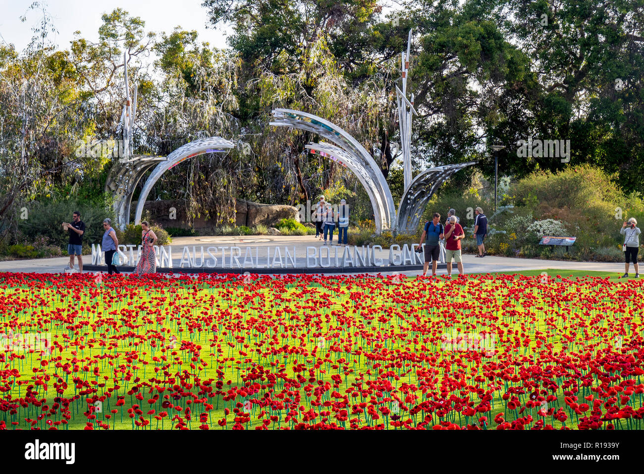 2018 Remembrance Day Poppy Project display of handcrafted poppies in ...