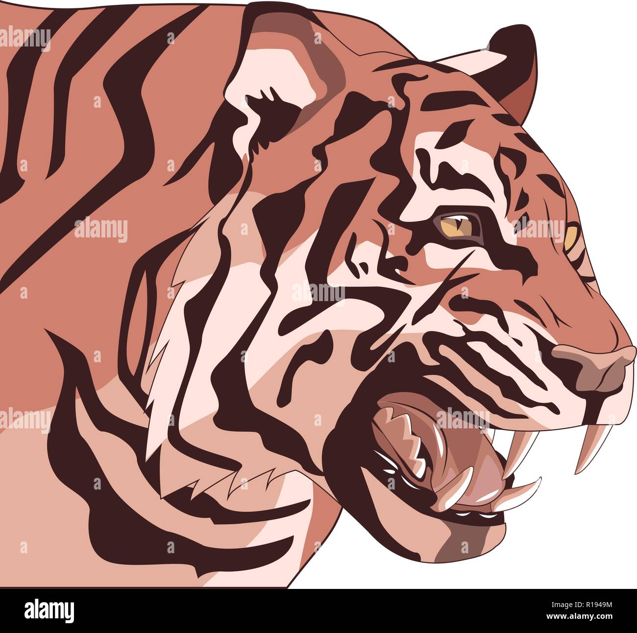 wild tiger face cartoon vector illustration graphic design Stock Vector ...