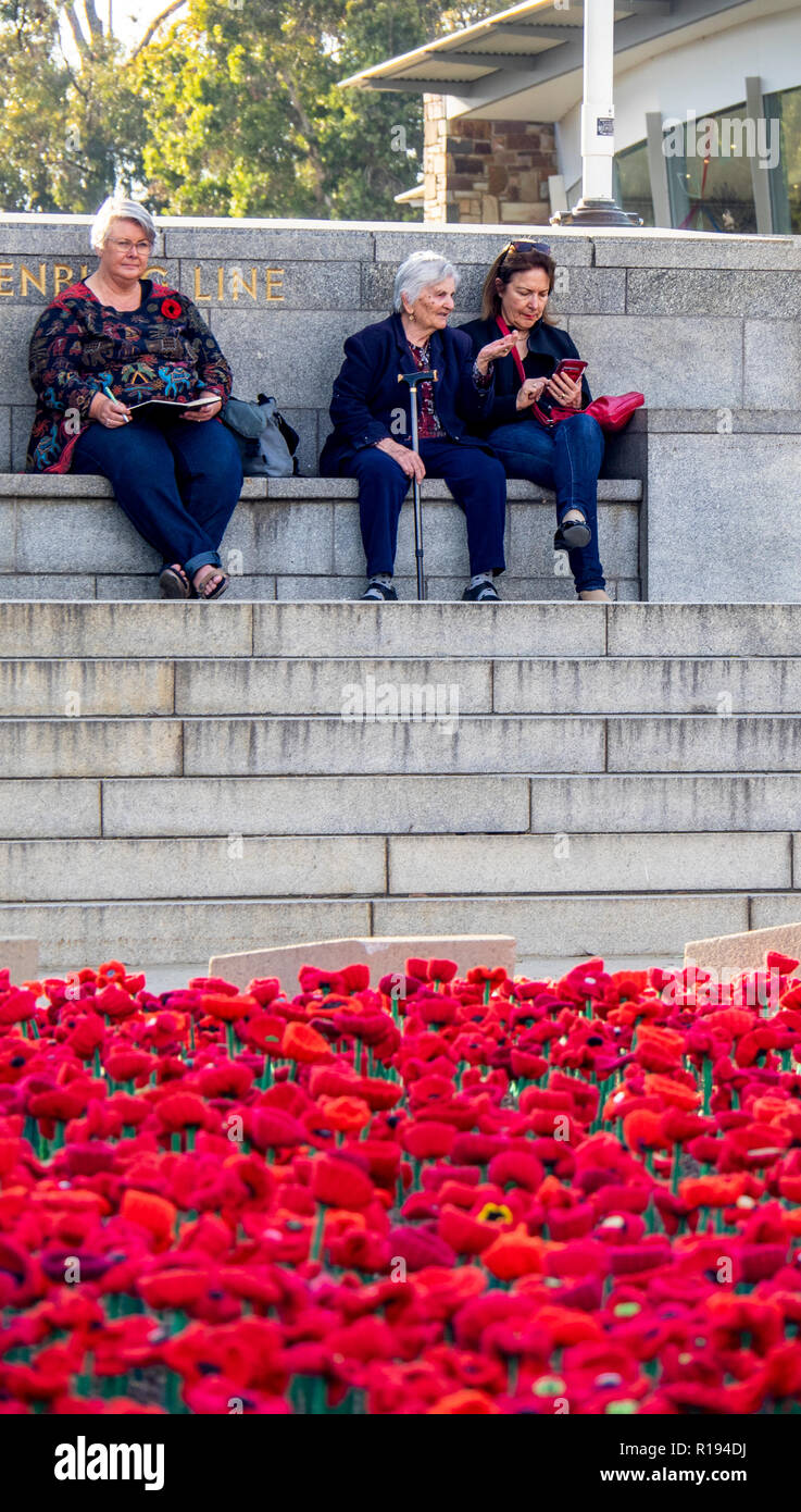 2018 Remembrance Day Poppy Project display of handcrafted poppies in ...