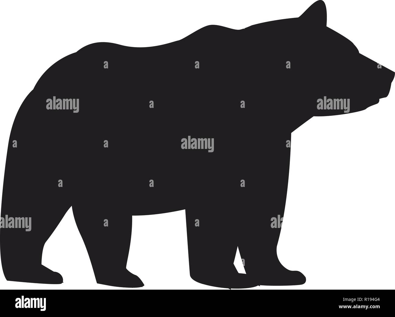 wild bear body cartoon vector illustration graphic design Stock Vector ...