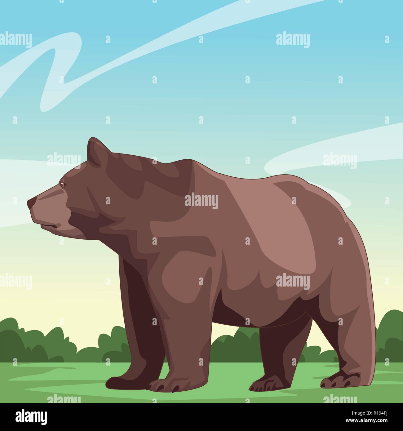 wild brown bear body cartoon vector illustration graphic design Stock ...