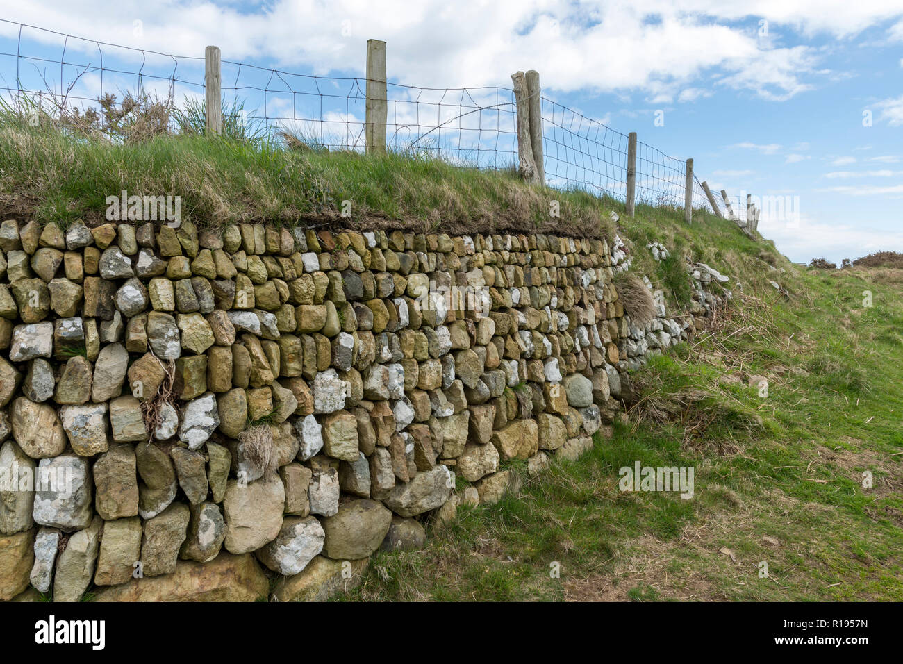 Traditional stone walls along the Coastal paths Gwynedd North Wales ...