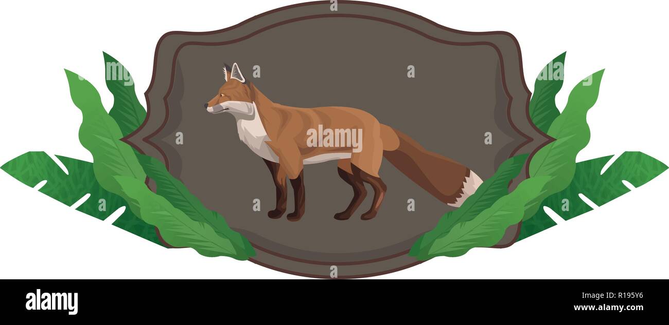 fox wild animal on label frame with leaves vector illustration graphic ...