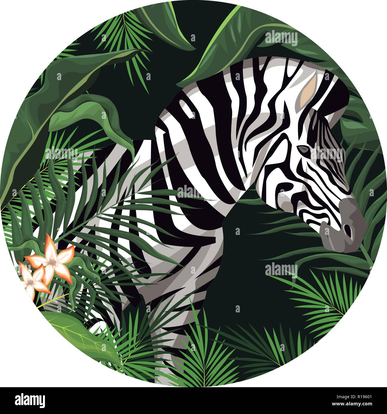 Zebra wild animal round icon with leaves around vector illustration ...