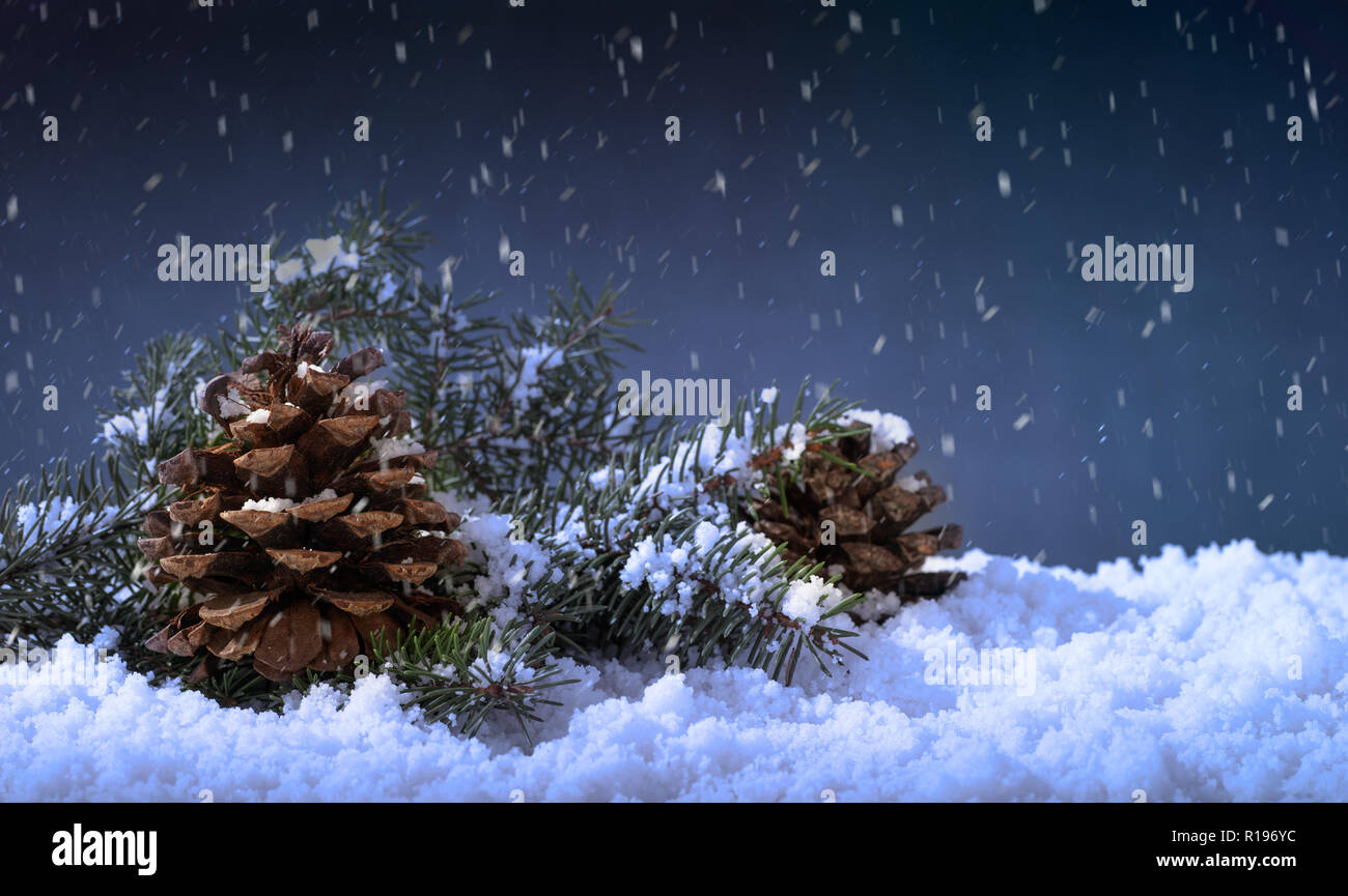 Eve cone hi-res stock photography and images - Alamy