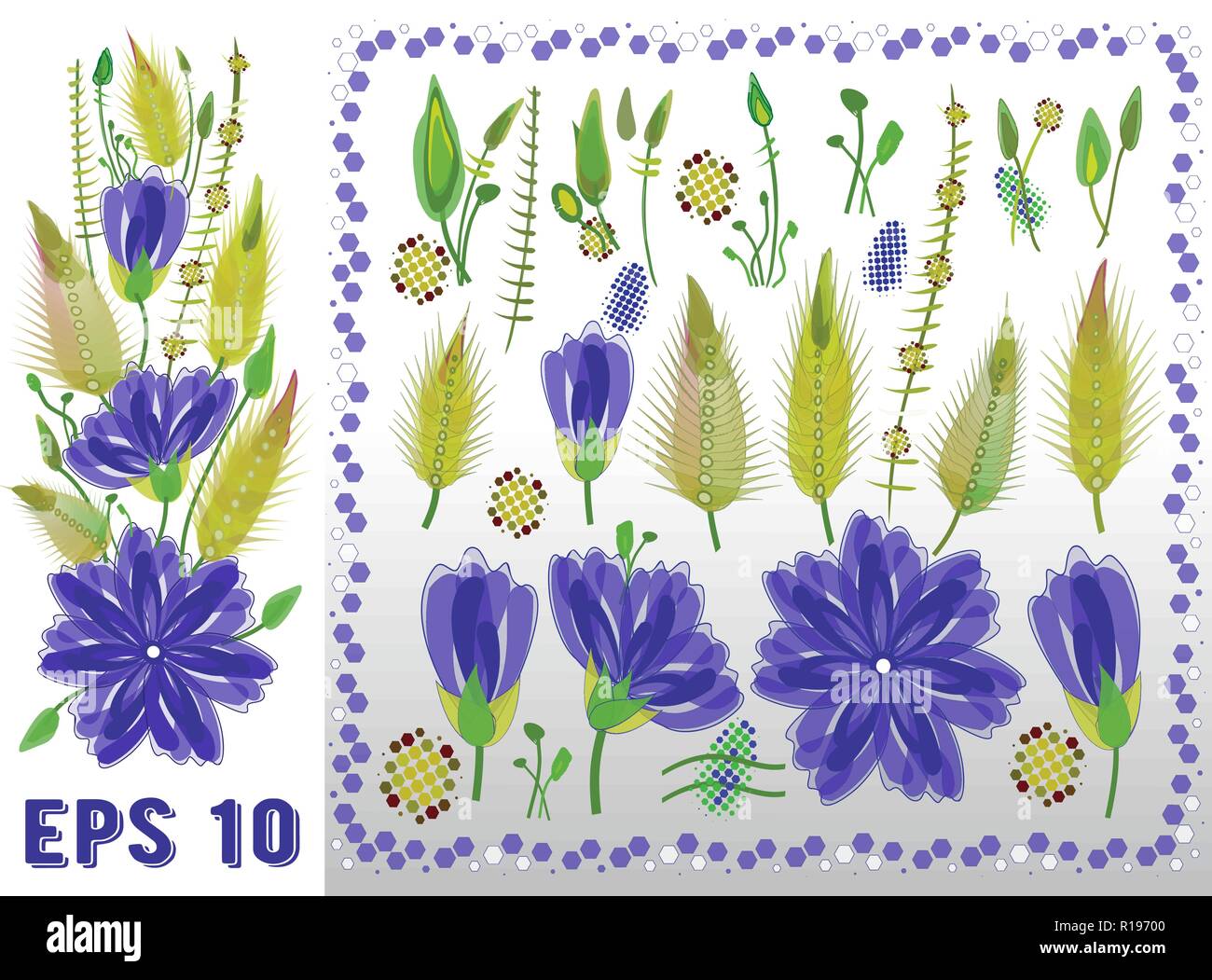 Floral Elements Set with Violet Daisy Type Flowers, Leaves and Buds ...