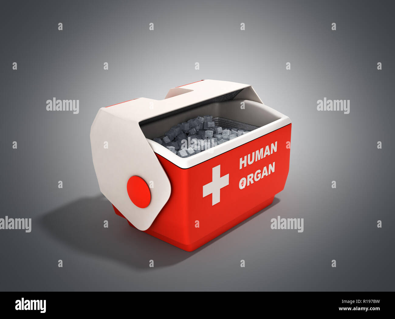 Organ transport box hi-res stock photography and images - Alamy