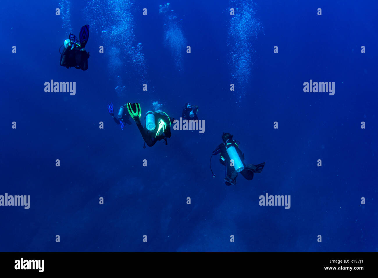 Ocean Abyss Looking Up