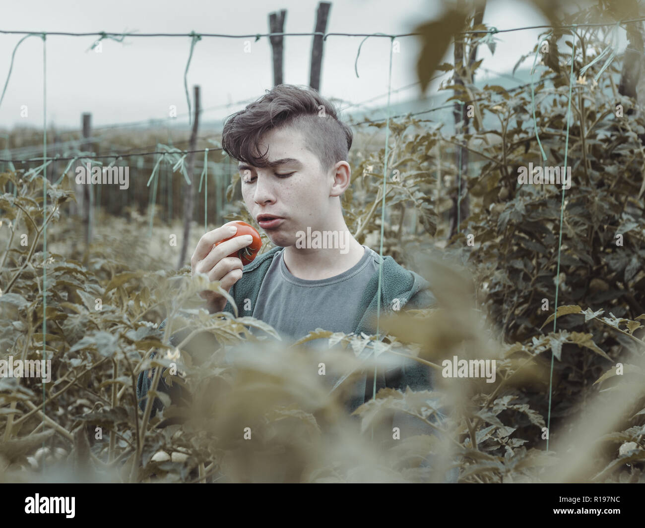 Male eating plants hi-res stock photography and images - Alamy