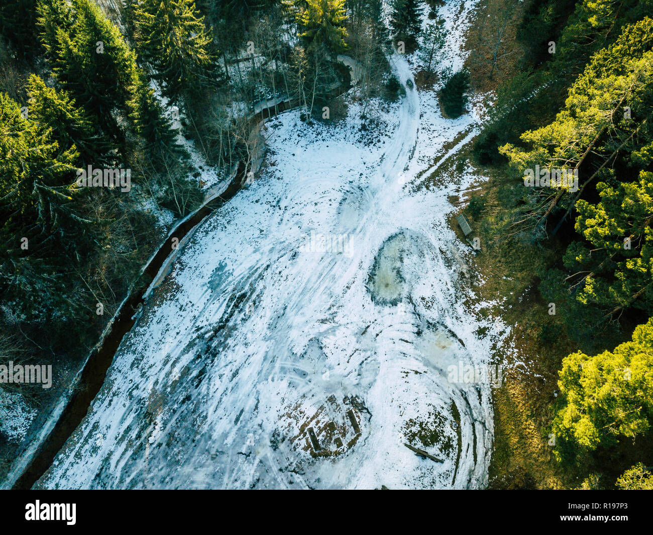Aerial Photography of a Bright Forest in Sunny Winter Day from Top ...