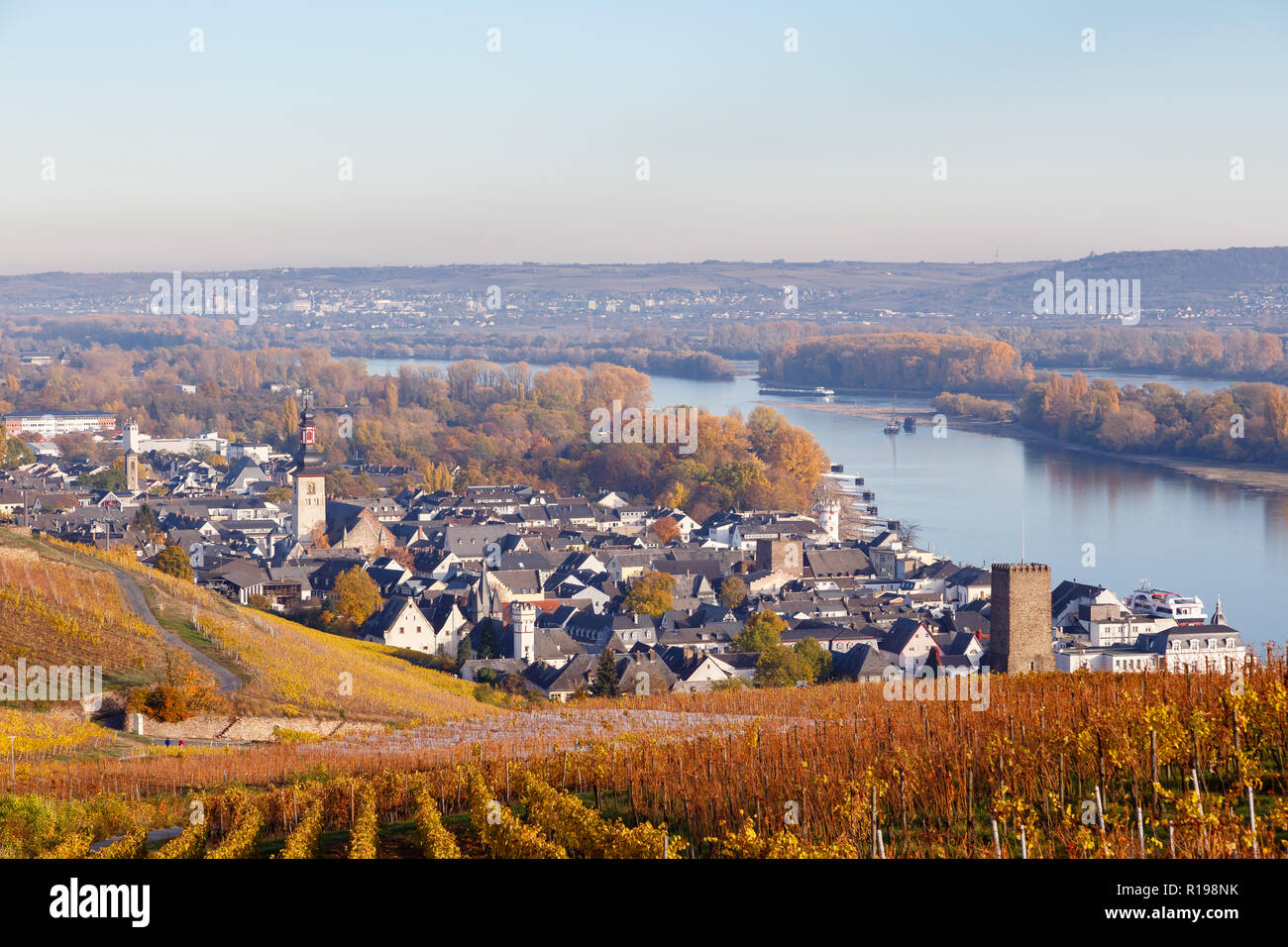 Rheingau vineyards hi-res stock photography and images - Alamy
