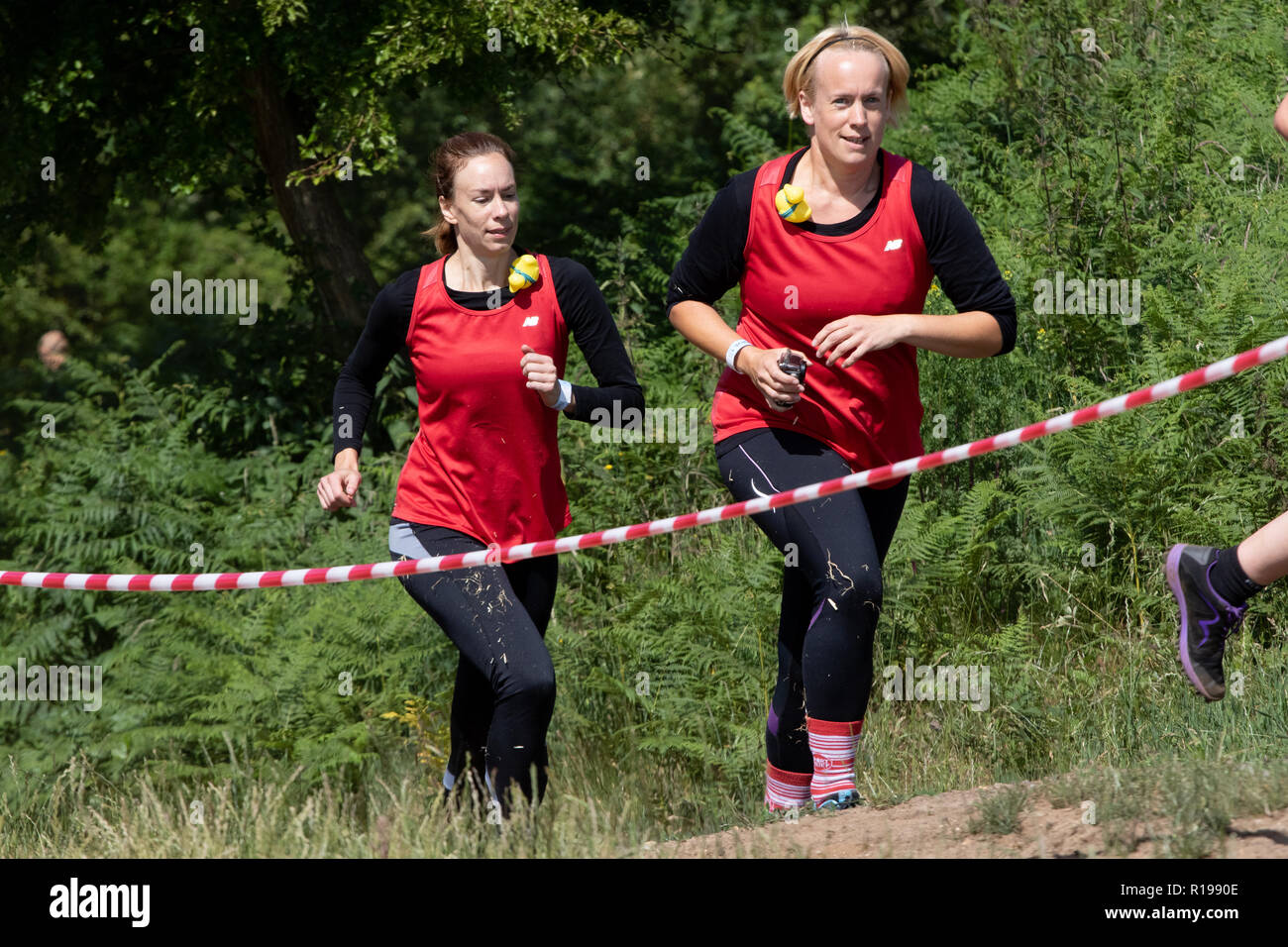 Cross country obstacle course running Stock Photo - Alamy