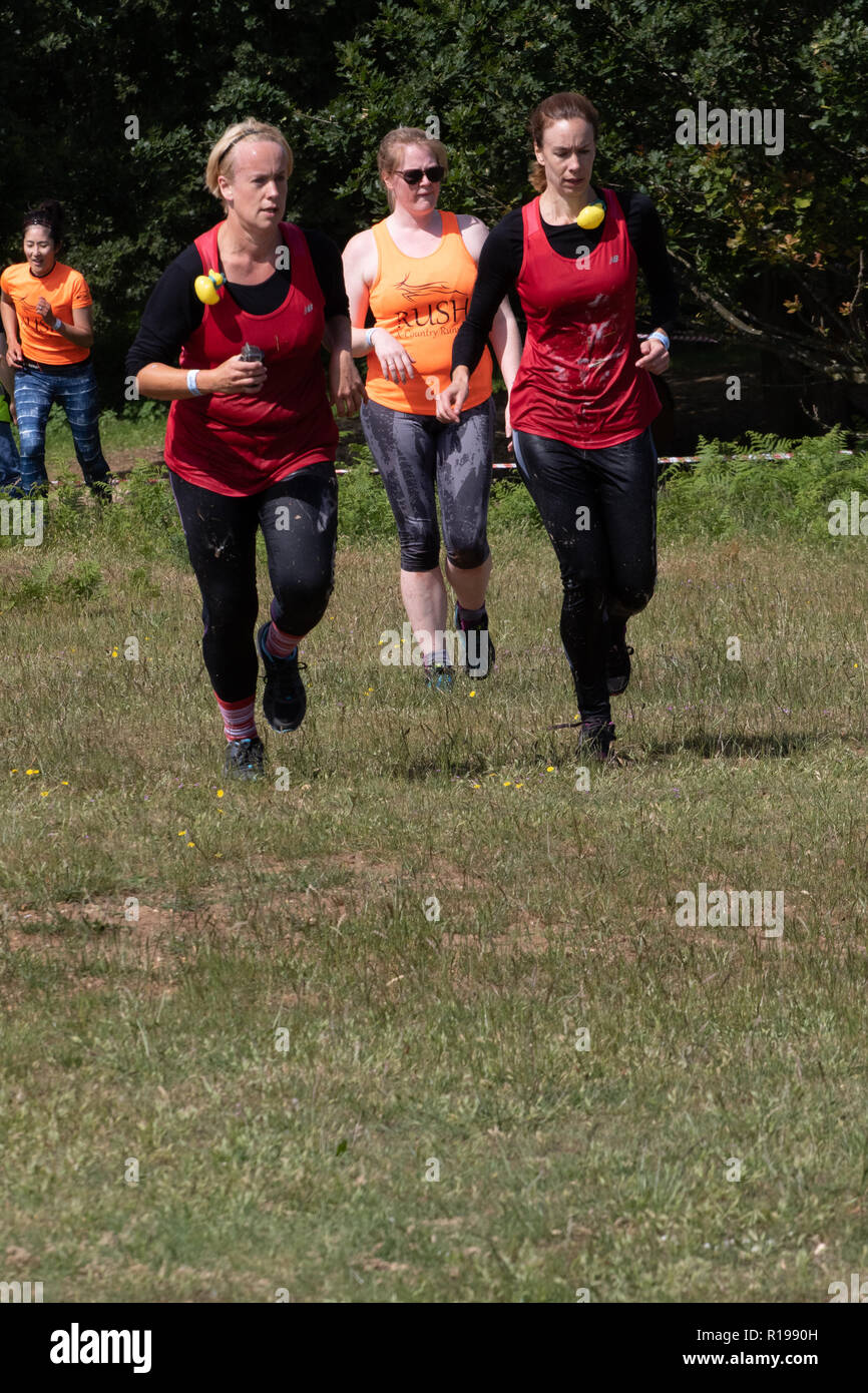 Cross country obstacle course running Stock Photo - Alamy