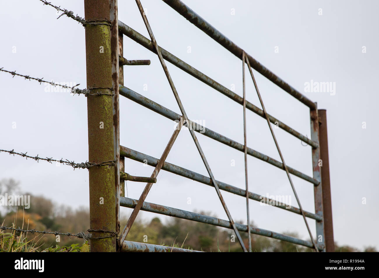 barbed wire fence rusty gate drawing away Stock Photo - Alamy