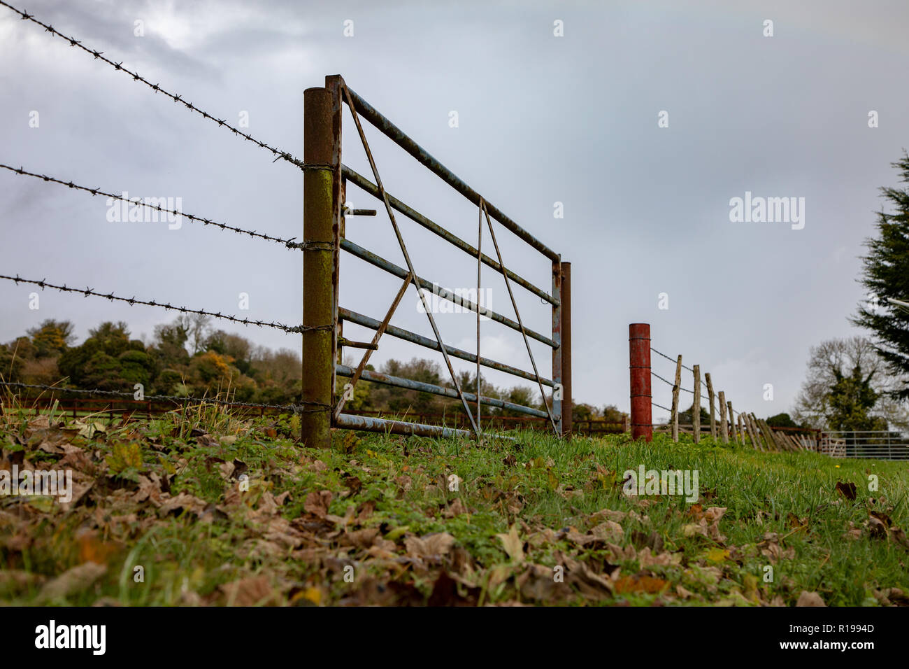 Barbed Wire Fence Drawing