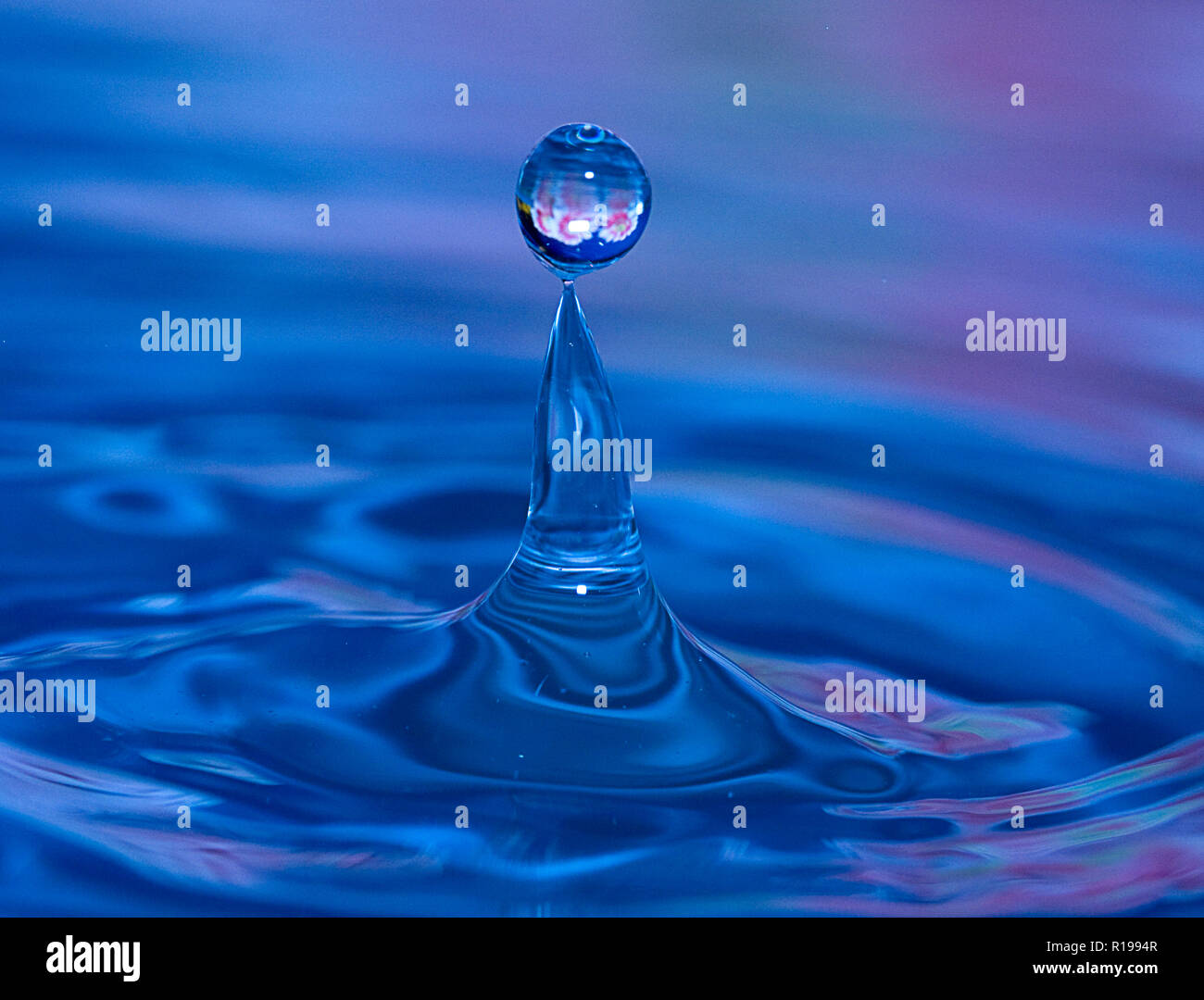 Macro images of flowers hi-res stock photography and images - Alamy