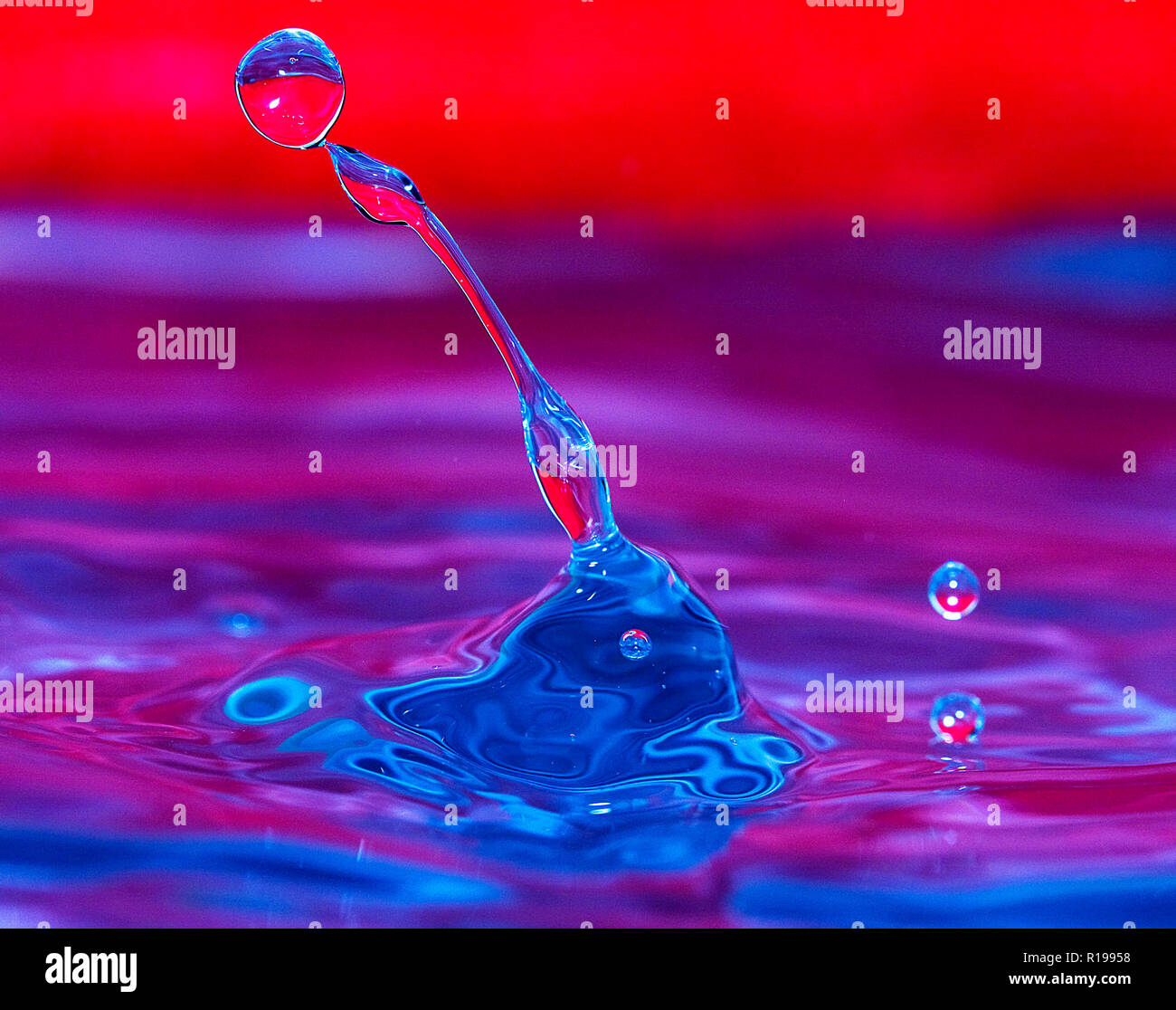 An assortment of macro images of waterdrops taking on their own life ...