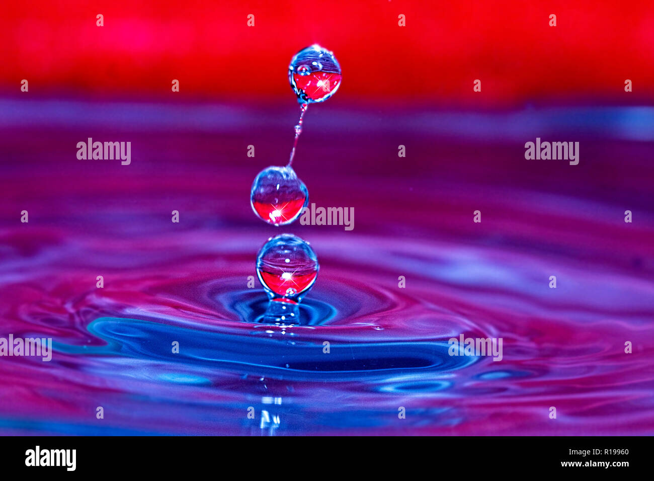 An assortment of macro images of waterdrops taking on their own life ...