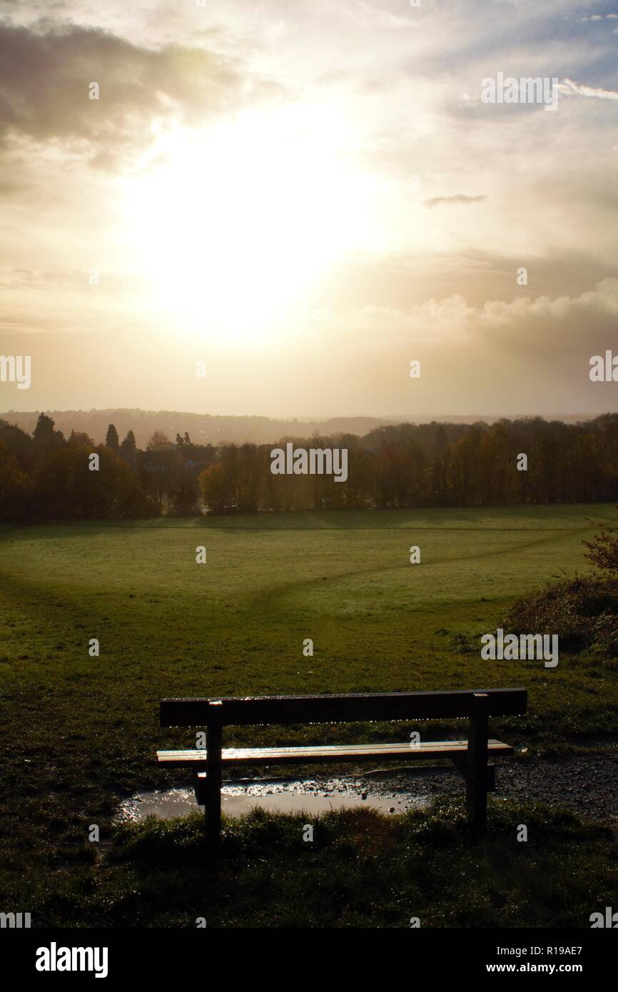 Sunshine Morning Park View