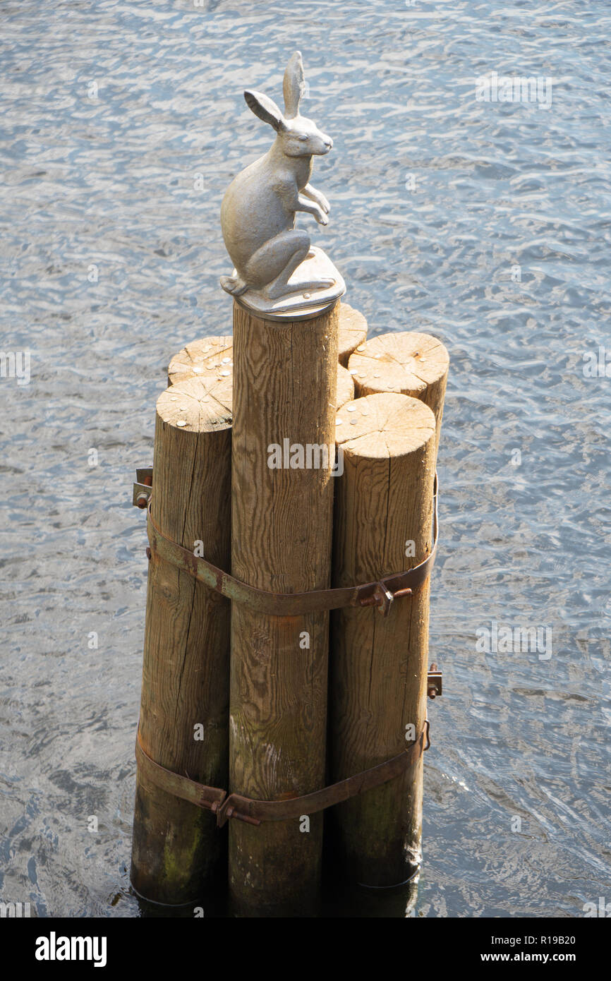 Saint peter rabbit hi-res stock photography and images - Alamy