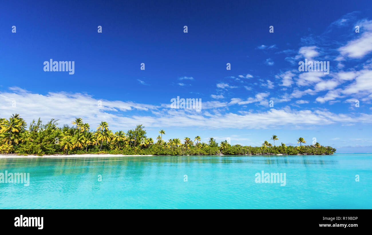 Coconut palm trees line the beach on One Foot Island, Aitutaki, Cook ...