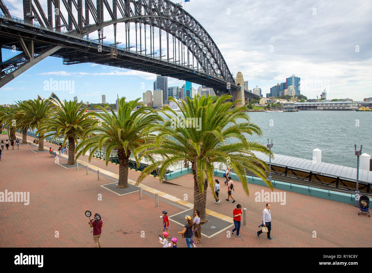 View of Sydney harbour bridge and Sydney cityscape from Milsons Point ...