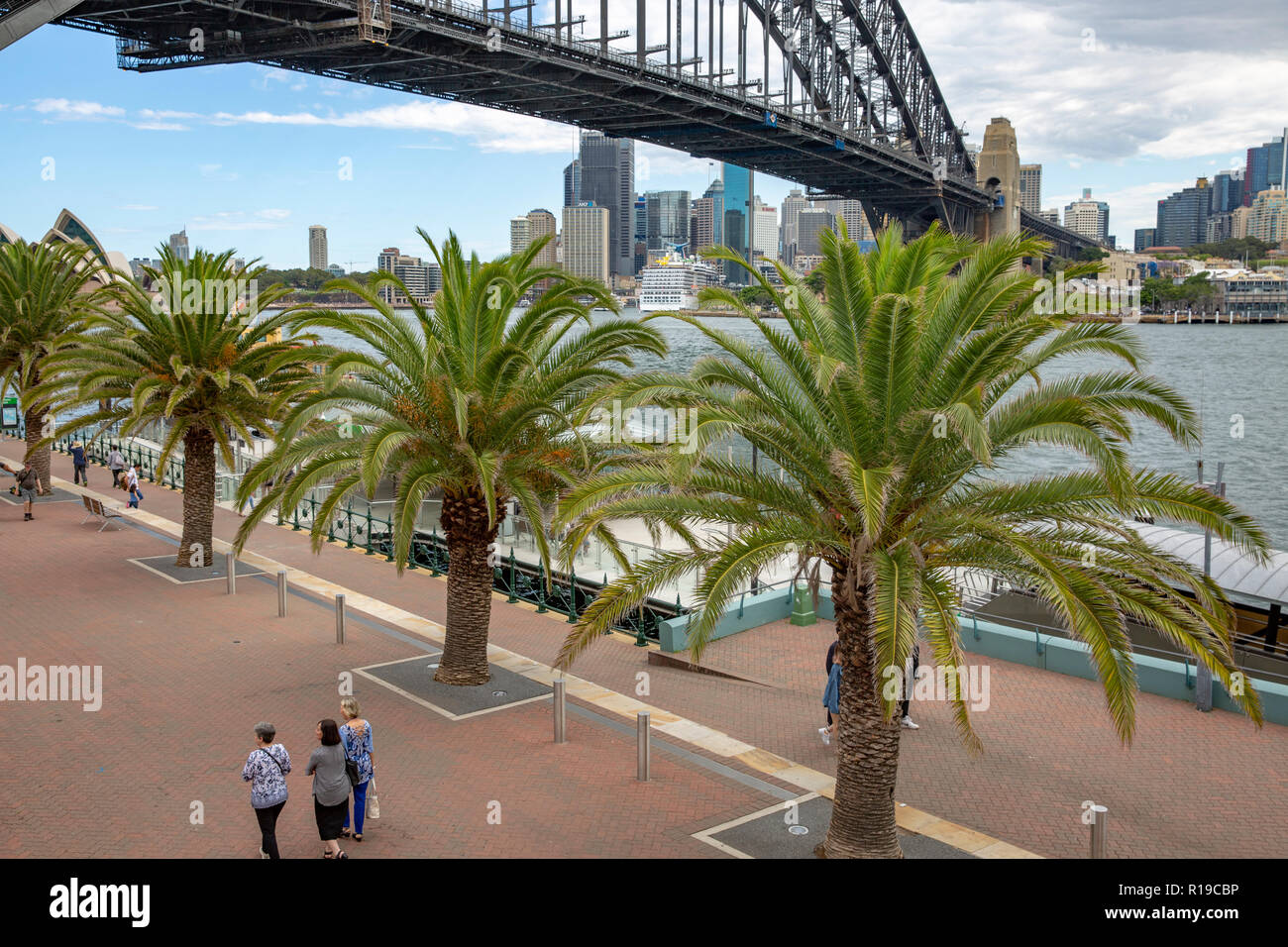 View of Sydney harbour bridge and Sydney cityscape from Milsons Point ...