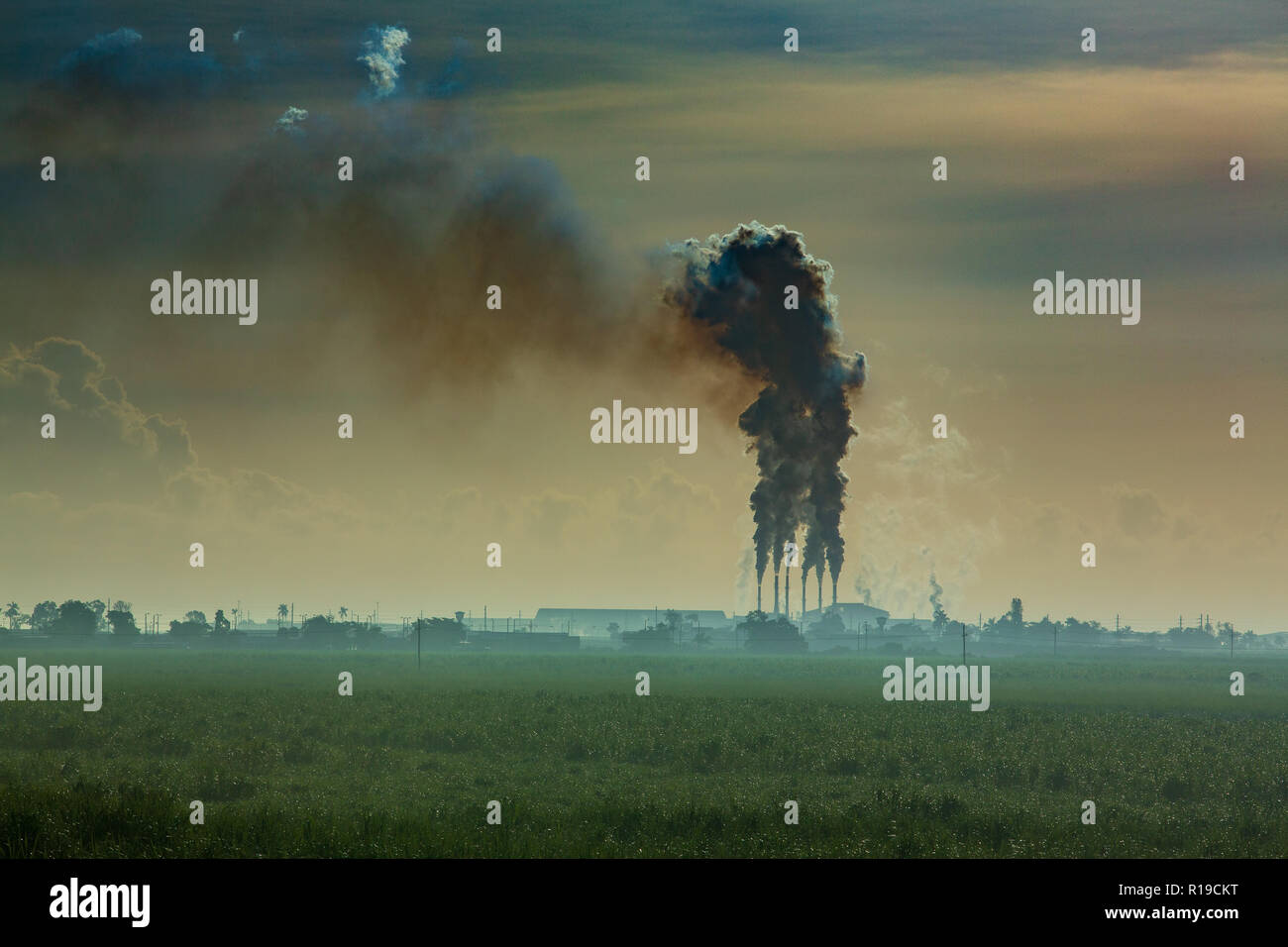 Train diesel pollution hi-res stock photography and images - Alamy