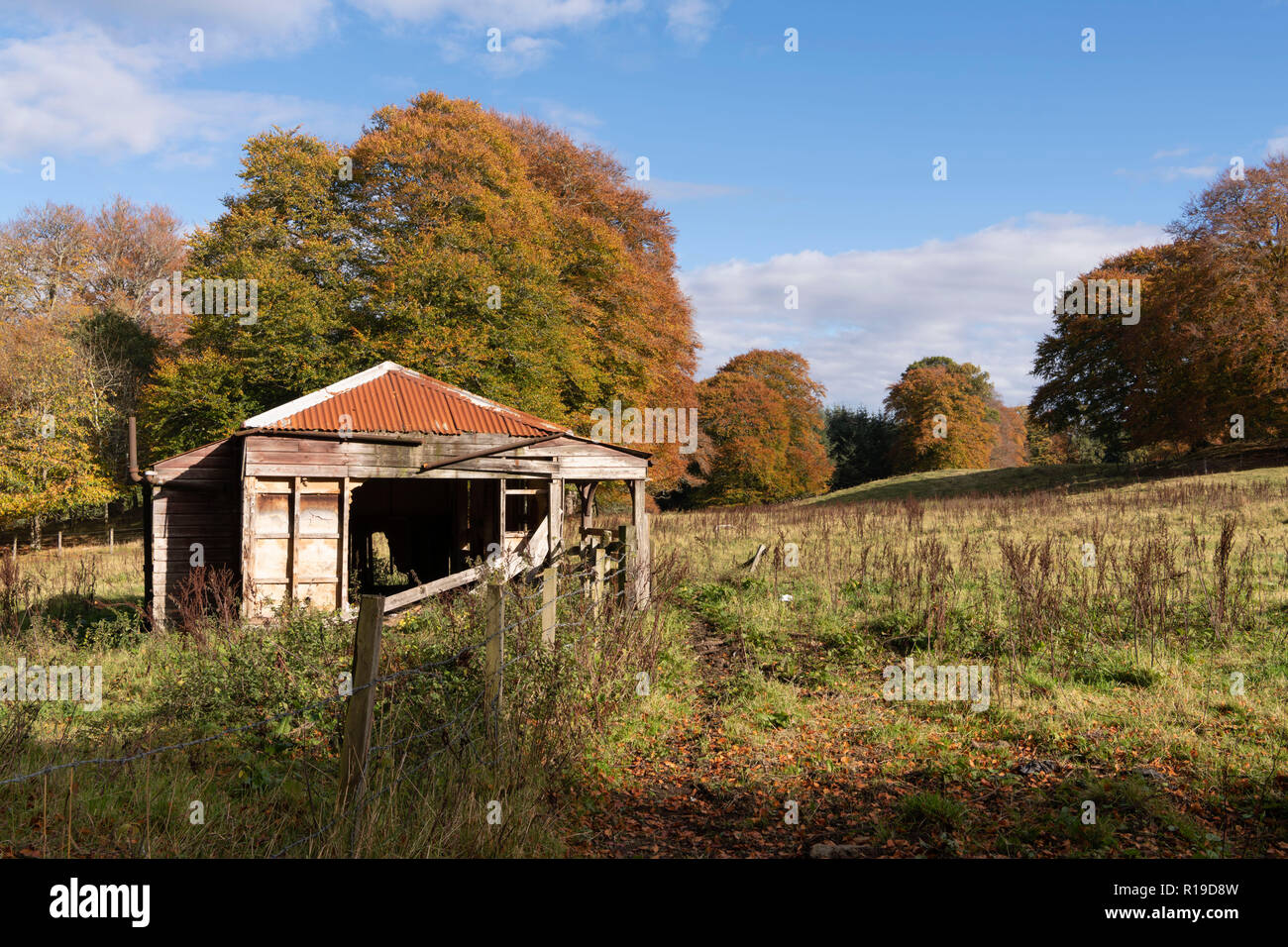 Abandoned dilapidated hi-res stock photography and images - Alamy