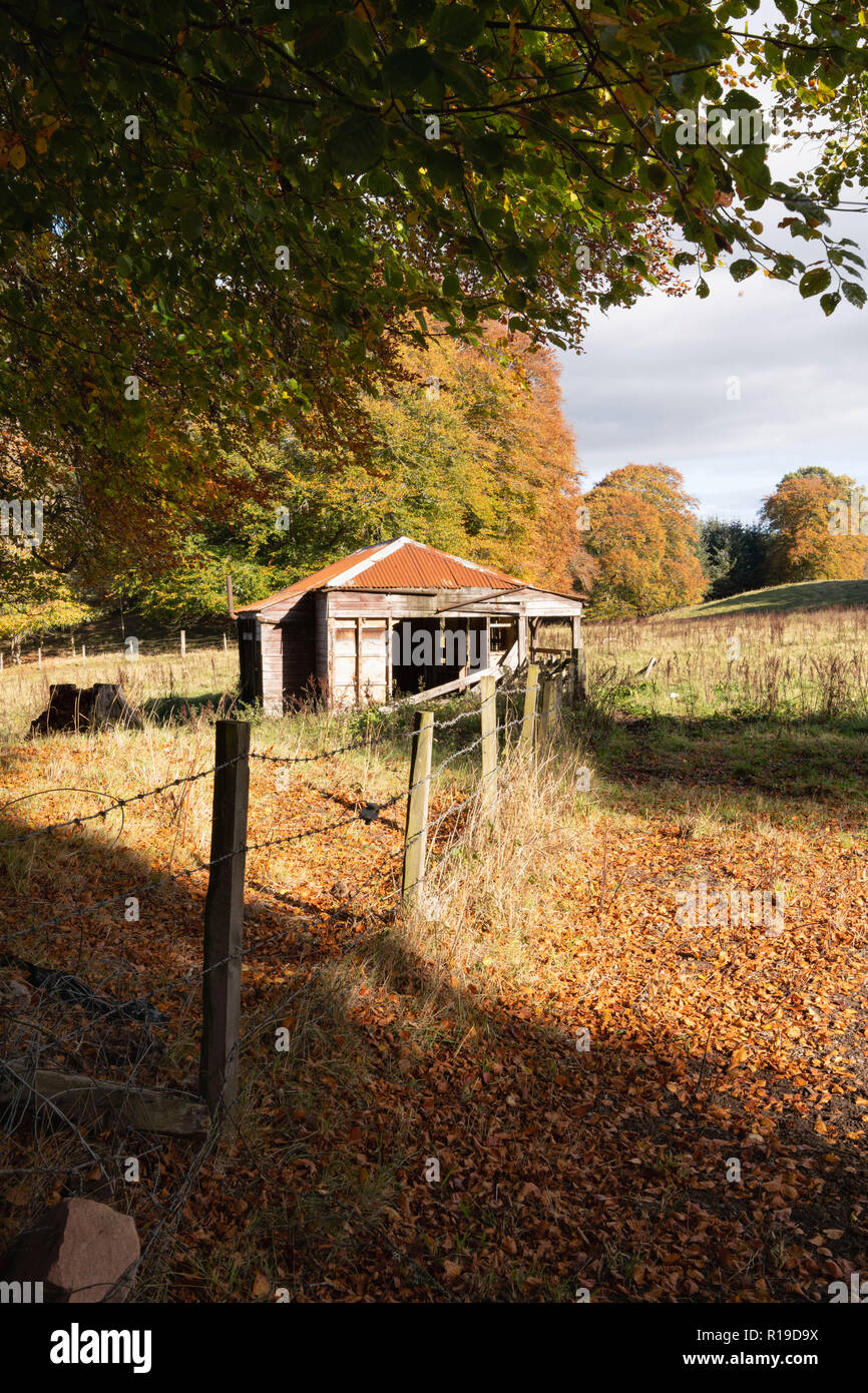 Abandoned dilapidated hi-res stock photography and images - Alamy