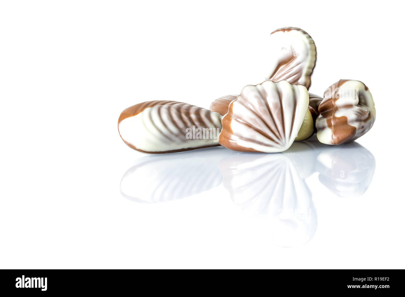 Chocolate candy in the form of sea shells on white table with ...