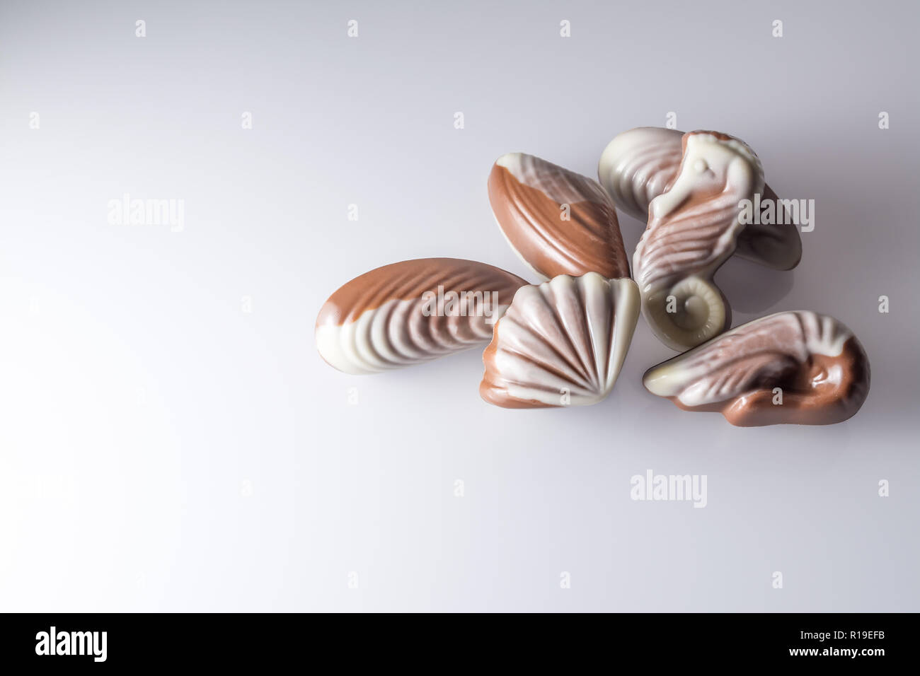 Chocolate candy in the form of sea shells on white table with ...