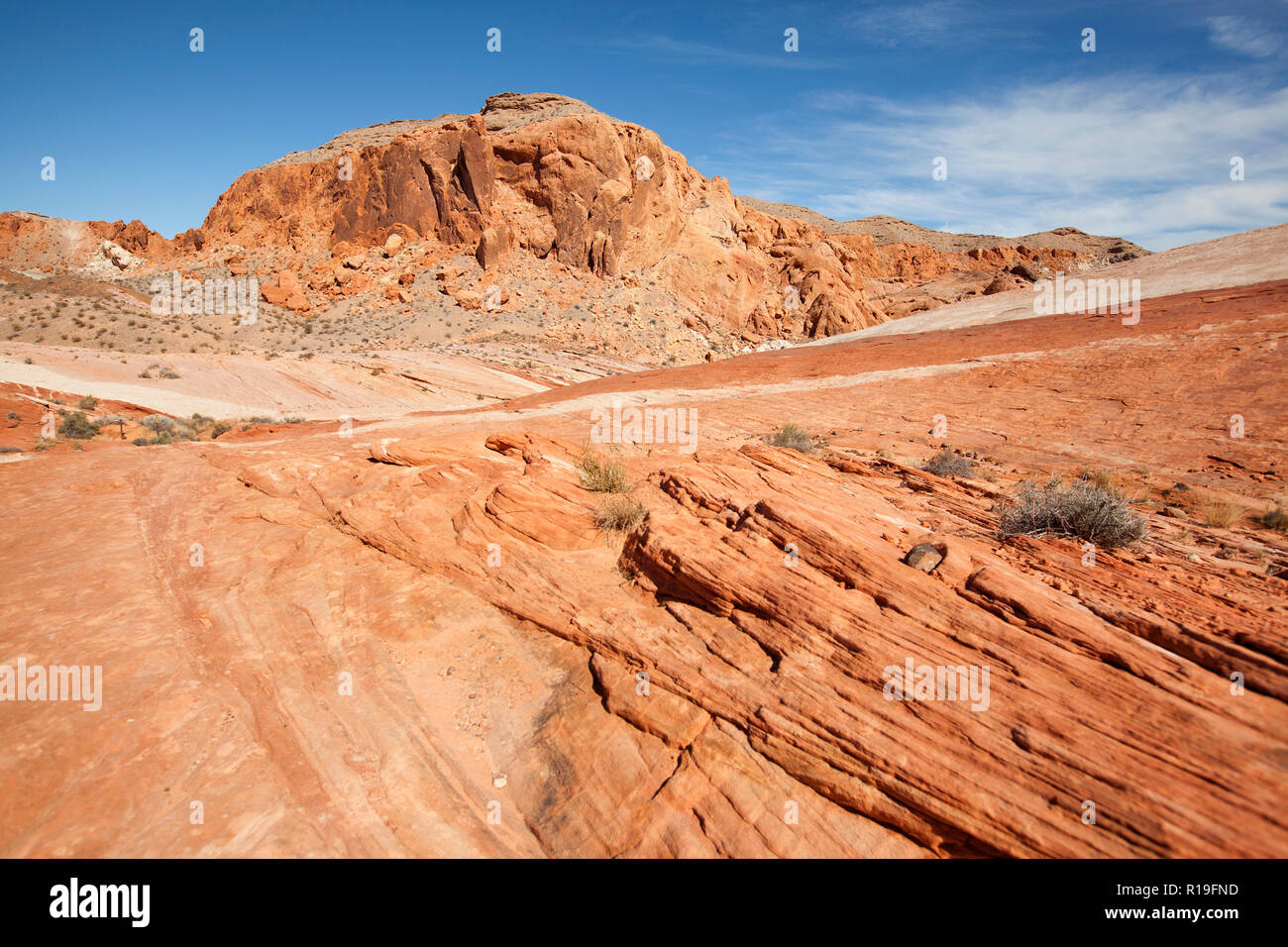 red sandstone rock formations in the Valley of Fire State Park in ...