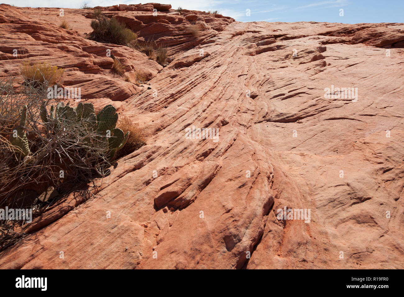 Fire wave rock formation along the desert trail in valley of fire state ...