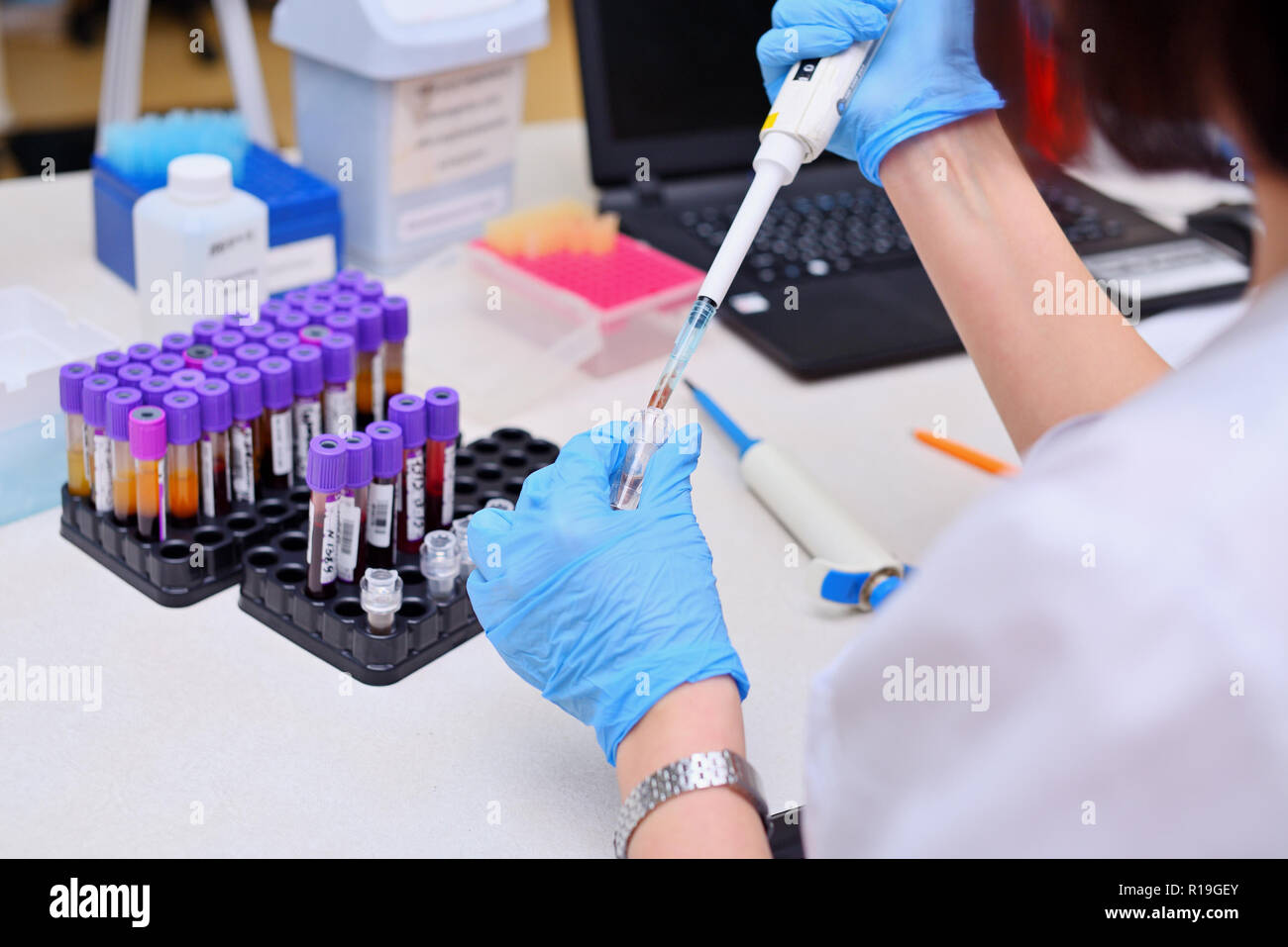 Blood test in the laboratory. Laboratory assistant working with the ...