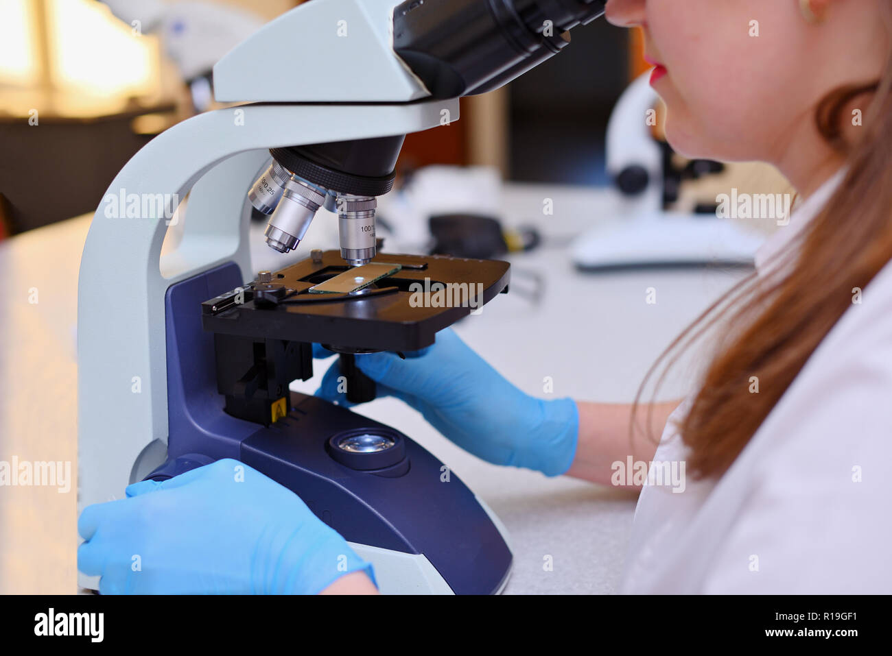 Laboratory assistant with a microscope. Medical laboratory for the ...