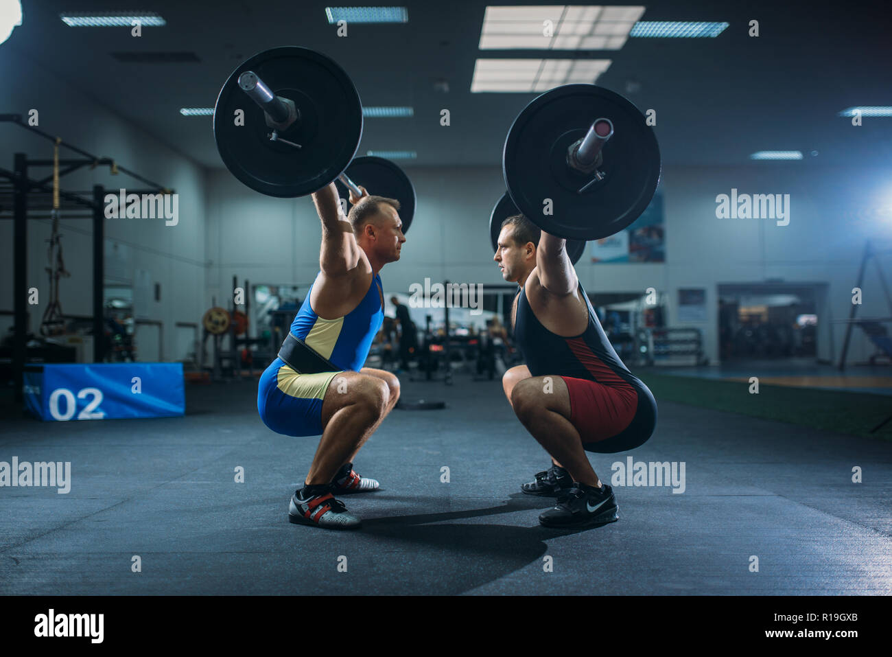 Two male weightlifters doing squats with barbells, gym interior on ...