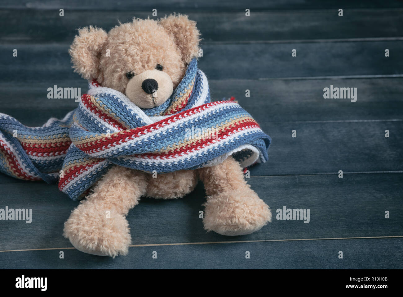 Teddy bear autumn hi-res stock photography and images - Alamy