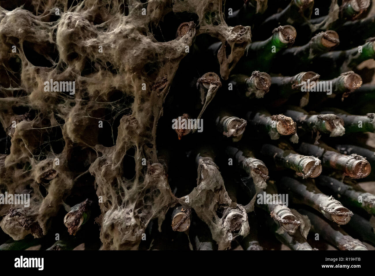 Moldavia wine cellar hi-res stock photography and images - Alamy